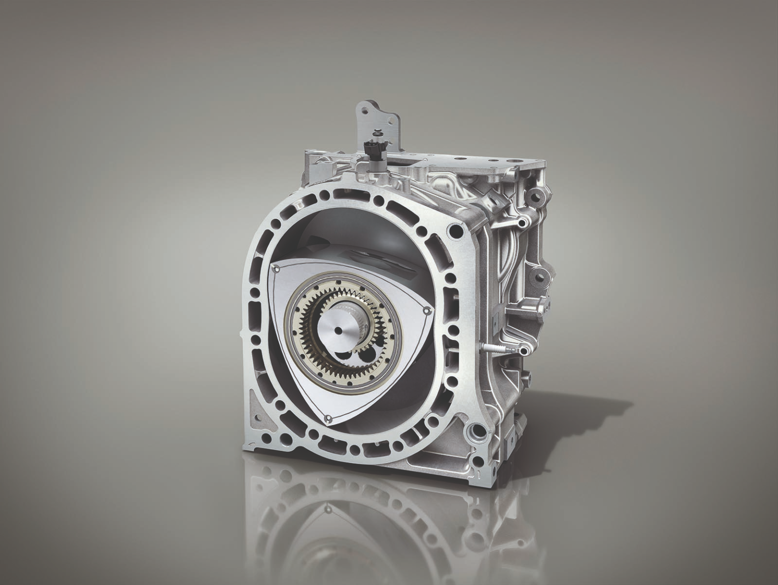 Recommended High-quality Rotary Motor for 2026